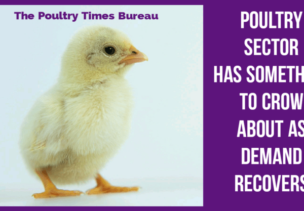 The Poultry Times, Poultry Year Book, Poultry India